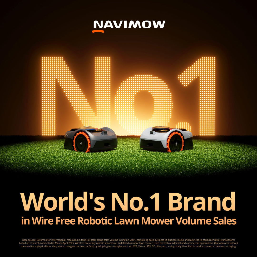 News & Blog – Segway New Zealand